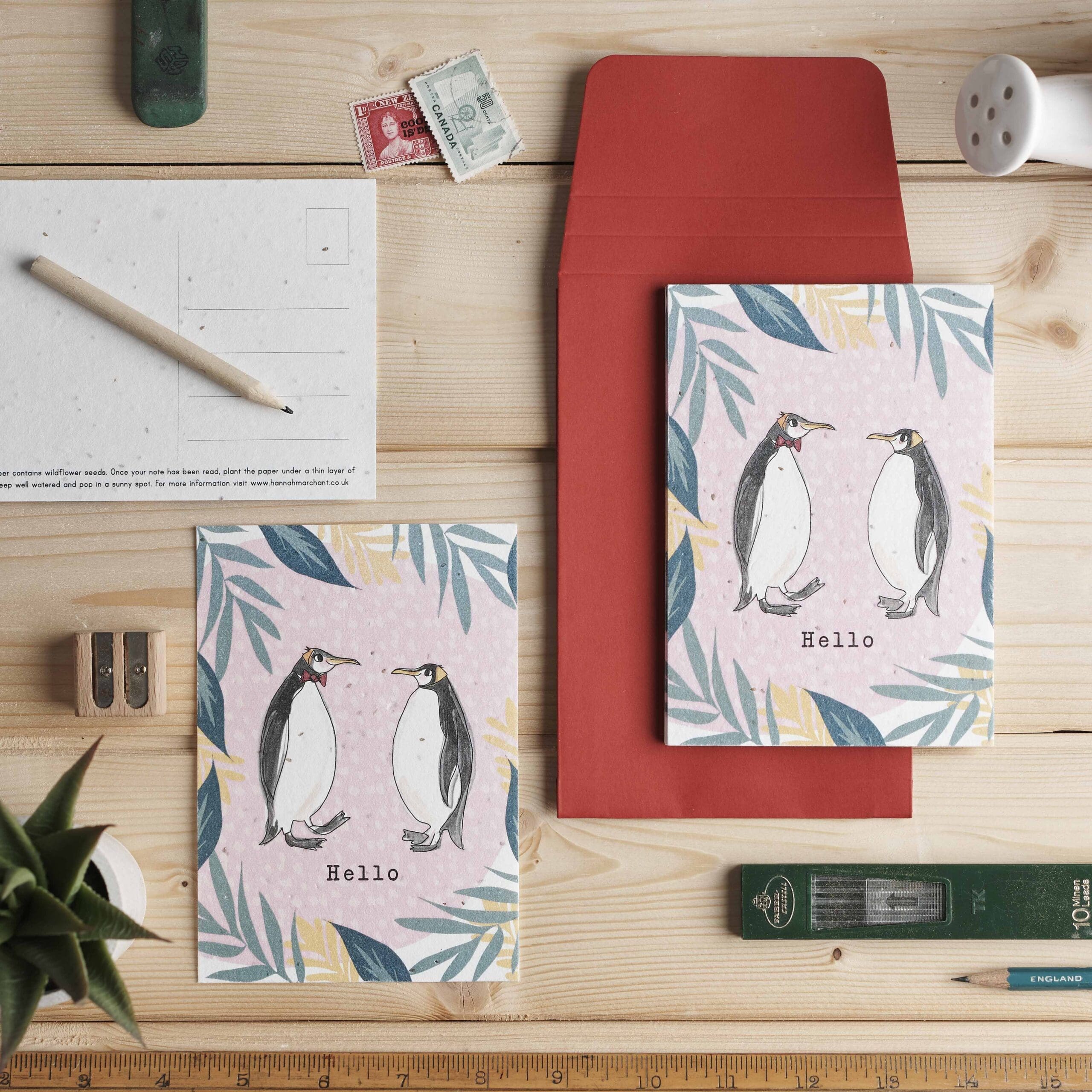 Pack of 10 Penguin plantable postcards - Eco friendly greetings cards ...